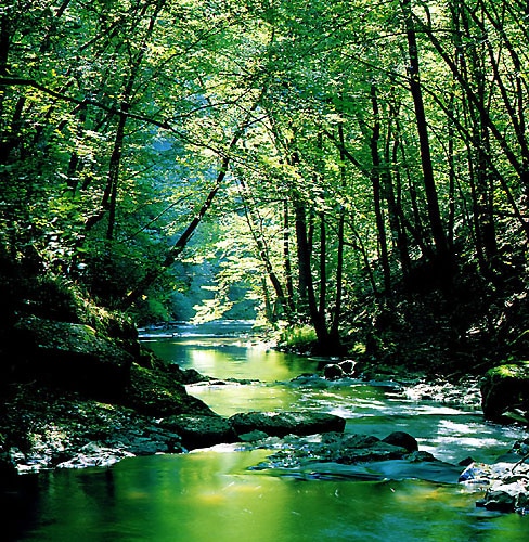 Ulmen,Touristinformation Ulmen - eifel.de